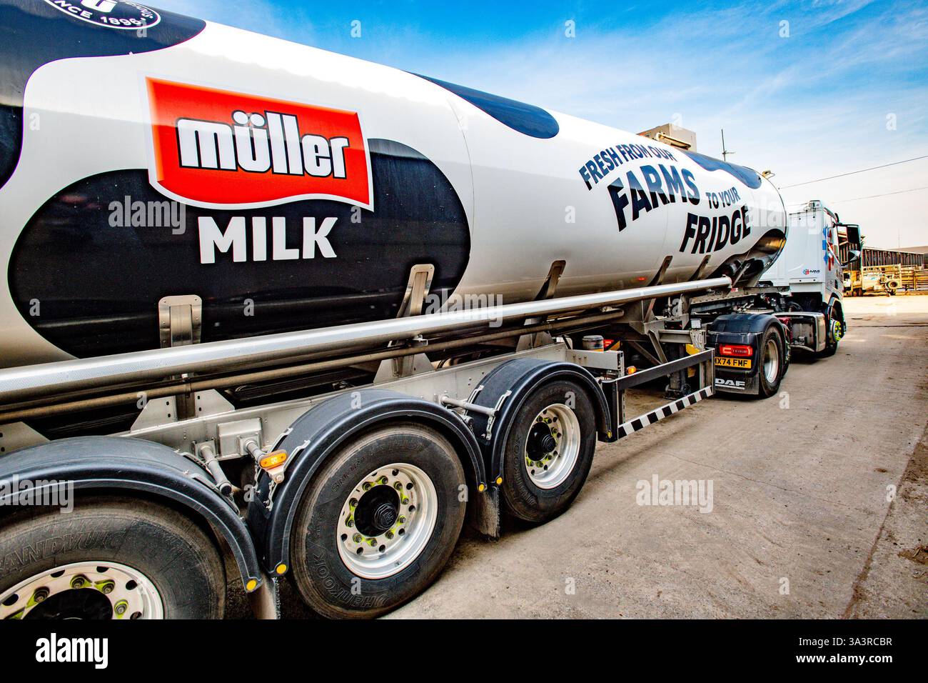 A milk tanker collecting milk from a farm in Cheshire, UK Stock Photo ...