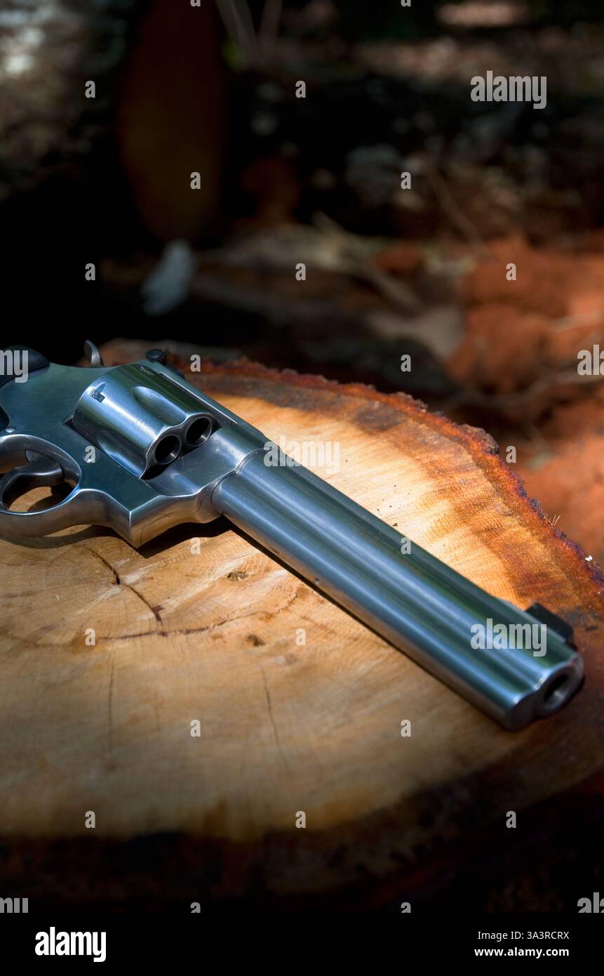 America Silver Large Caliber Revolver for Personal Protection on Wood ...