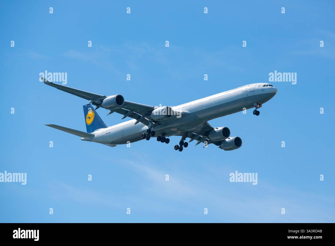Lufthansa German Airlines Airbus 340-642 D-AIHP landing on Boston Logan ...