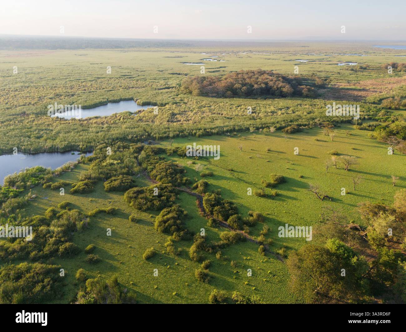 Aerial view wetlands ponds hi-res stock photography and images - Alamy