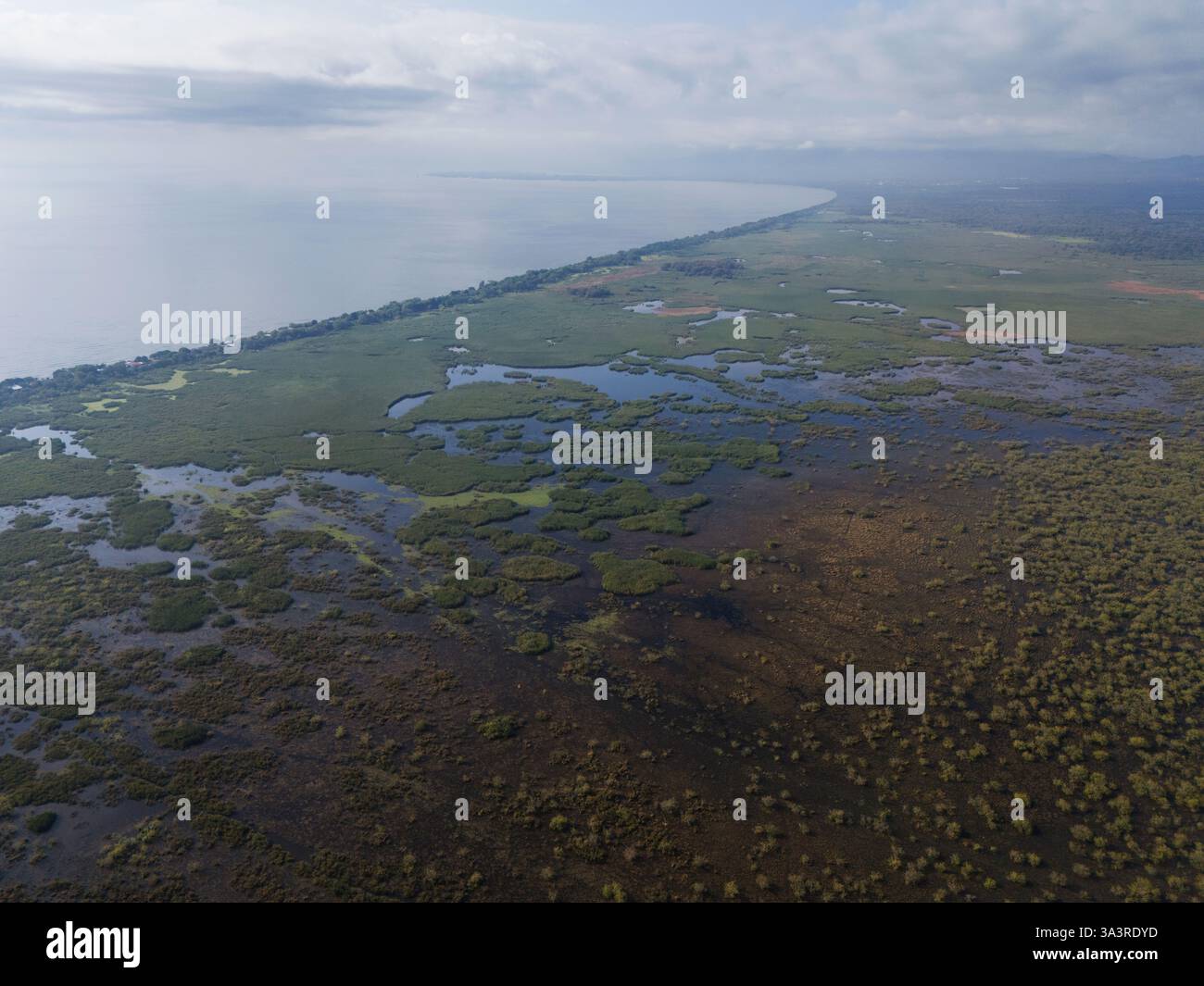 Expansive wetlands showcase rich array of vegetation and water bodies ...