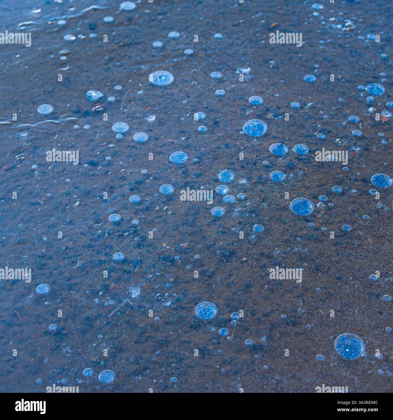 Bubbles trapped in an icy puddle for textures and backgrounds Stock ...