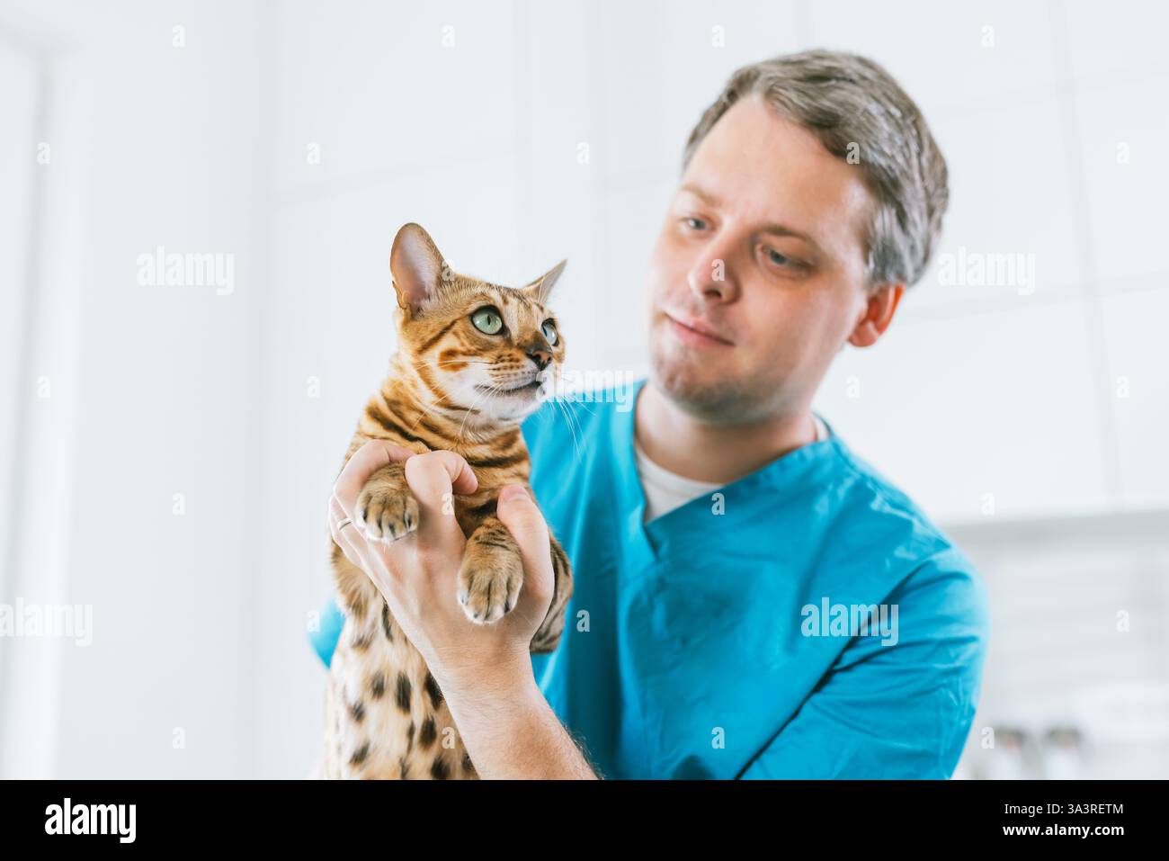 Animal cat care pet hi-res stock photography and images - Alamy