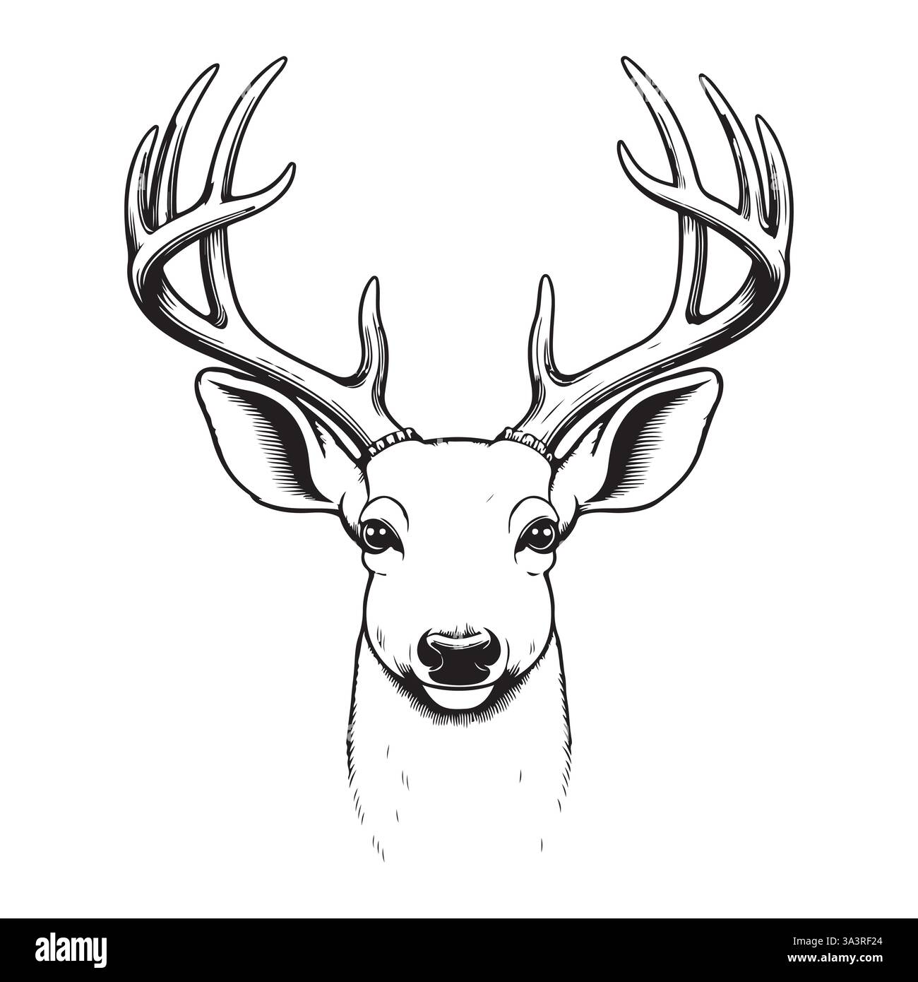 Deer Head Illustration, Antlers, Wildlife Art Stock Vector Image & Art ...