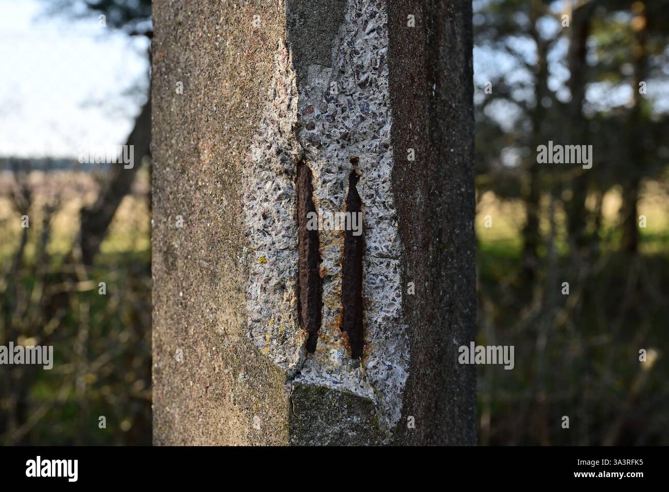 The effect of rain water ingress on a re-inforced concrete lampost. The ...