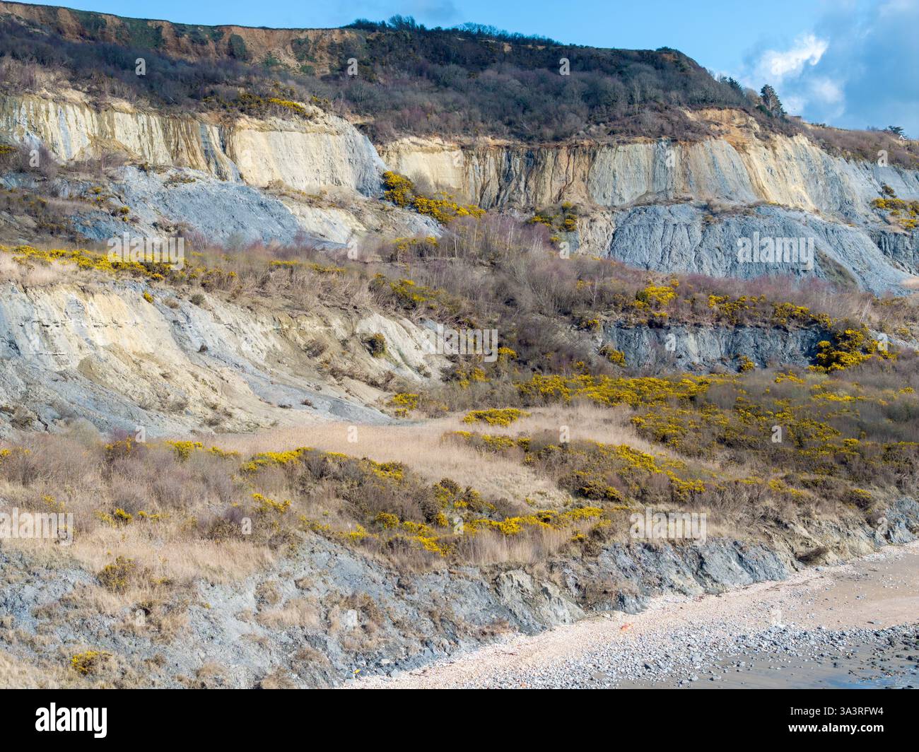 Aerial view of the Jurassic coast near Lyme Regis in Dorset. Clear view ...