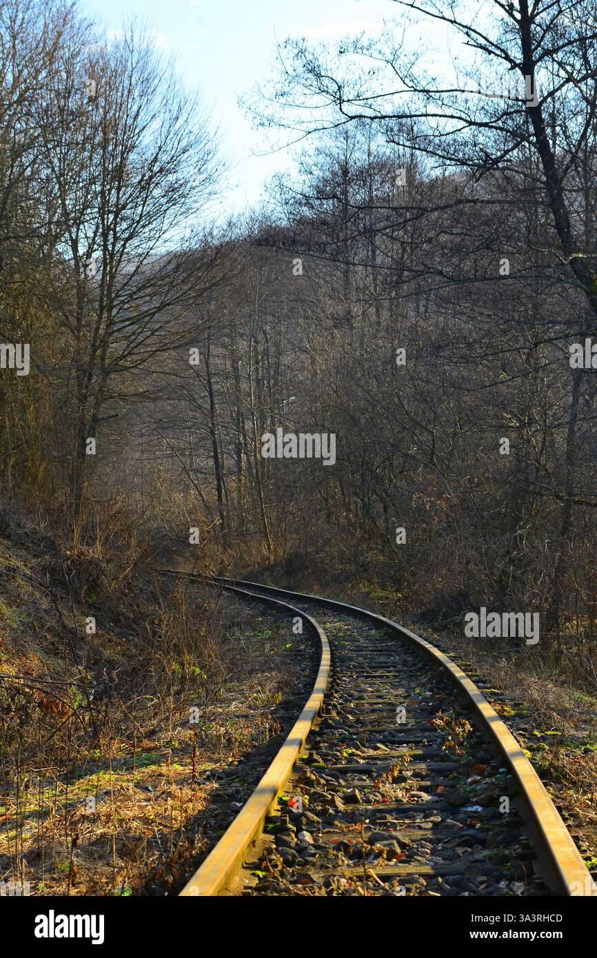 The enchanted forest train hi-res stock photography and images - Alamy