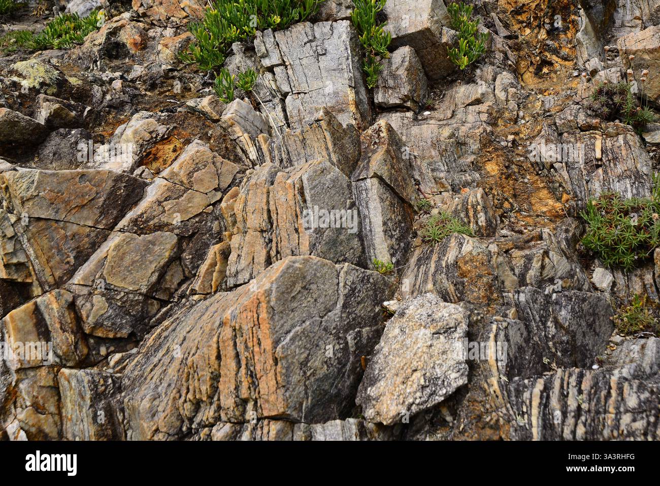 Stratified rocks for the study of geology Stock Photo - Alamy