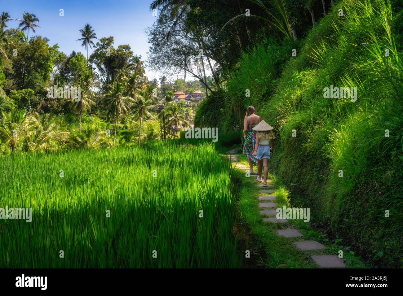 A serene walk through vibrant rice fields in Bali, showcasing lush ...