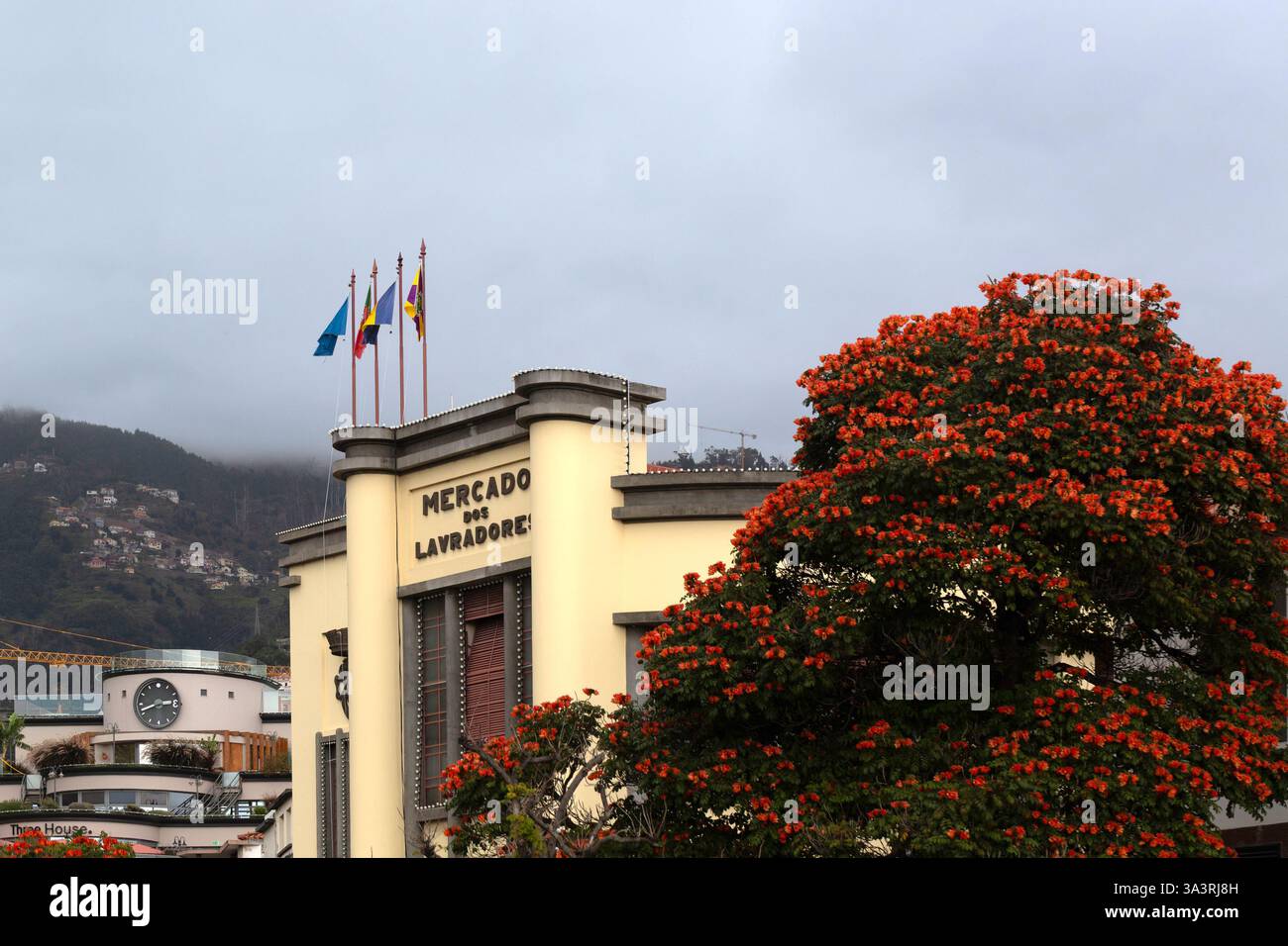 FUNCHAL, MADEIRA - FEBRUARY 03, 2025: Sign on the Farmers Market ...