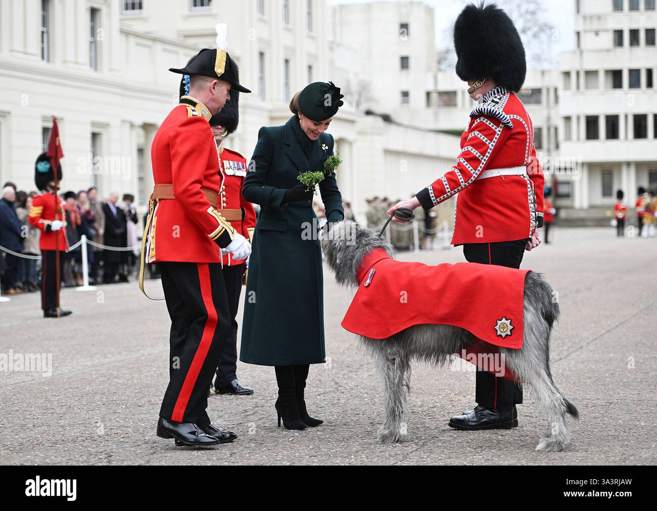 The Princess of Wales meets regimental mascot Turlough Mor, an Irish ...