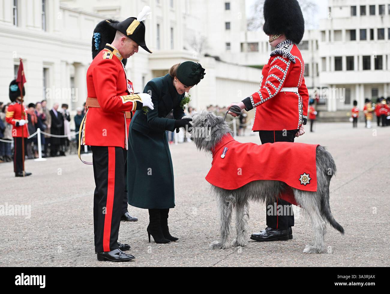 The Princess of Wales meets regimental mascot Turlough Mor, an Irish ...