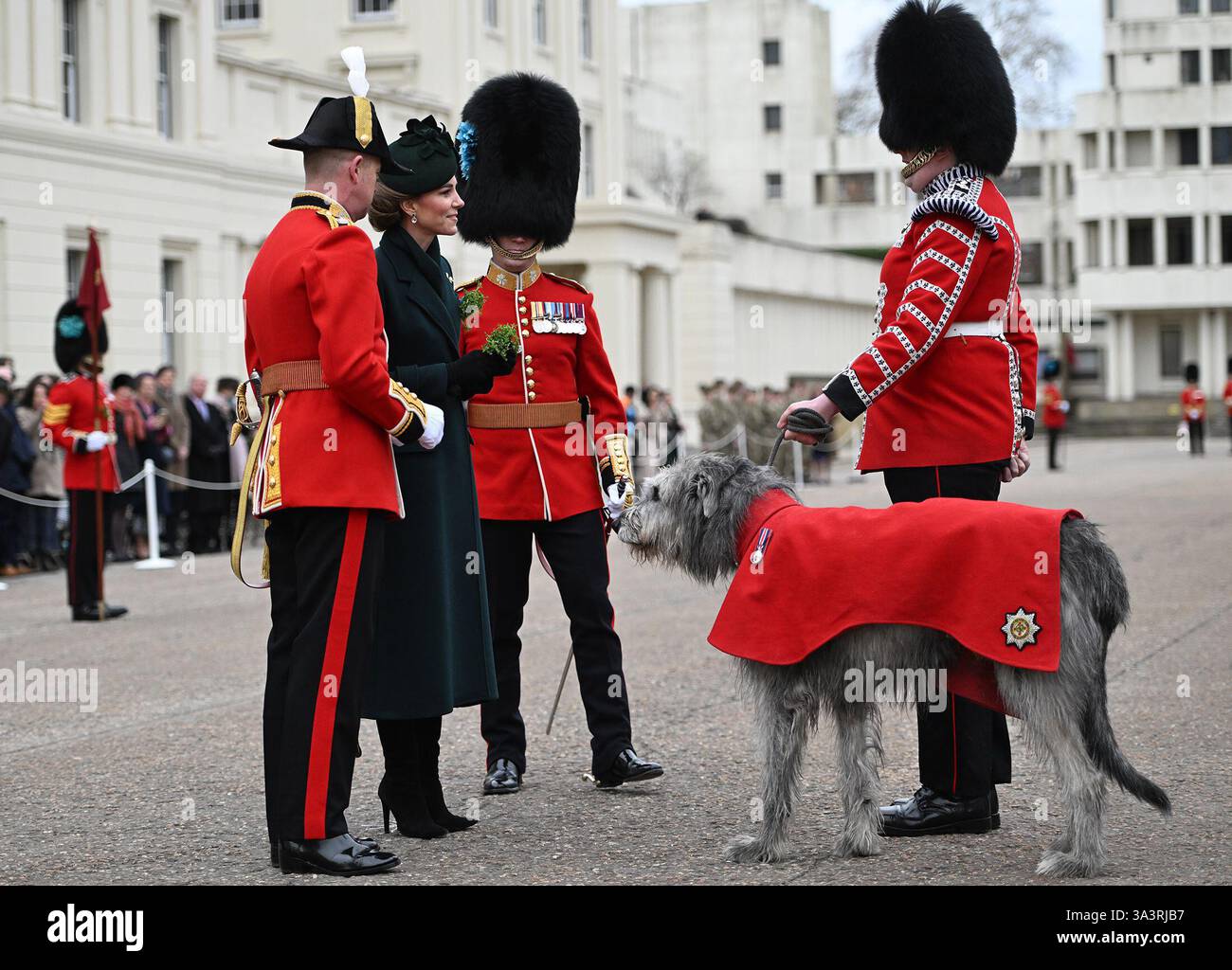 The Princess of Wales meets regimental mascot Turlough Mor, an Irish ...