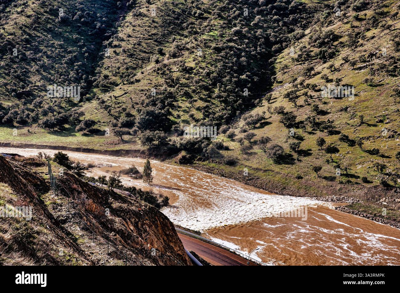 Receiving the Waters: Montoro River Embraces the 2010 Dam Release Stock ...