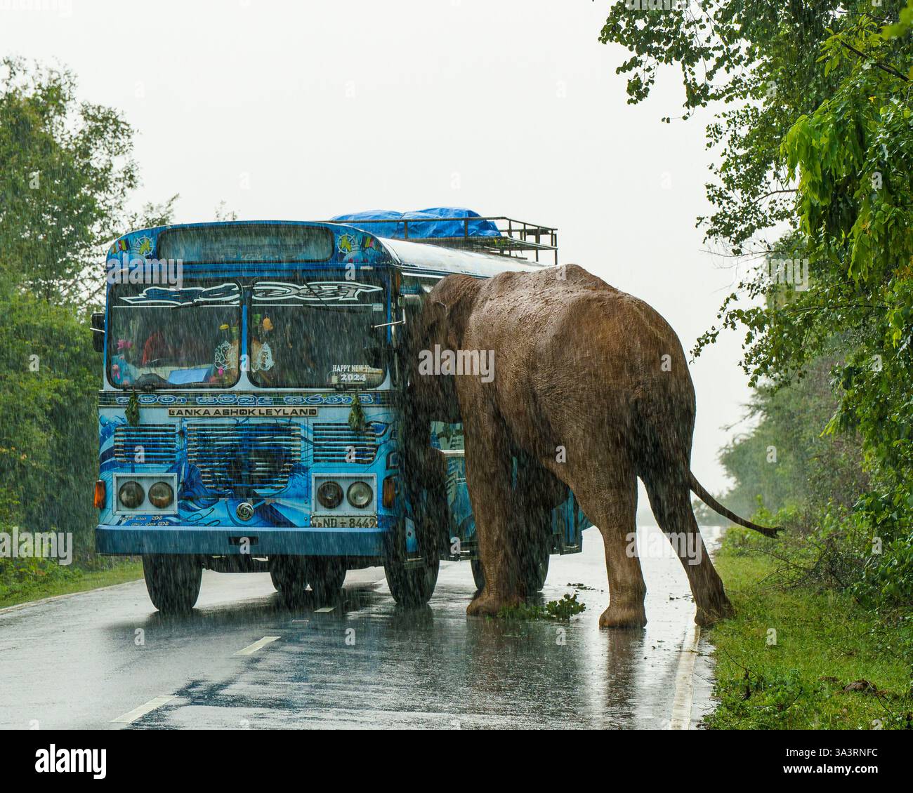 Human environment interaction hi-res stock photography and images - Alamy