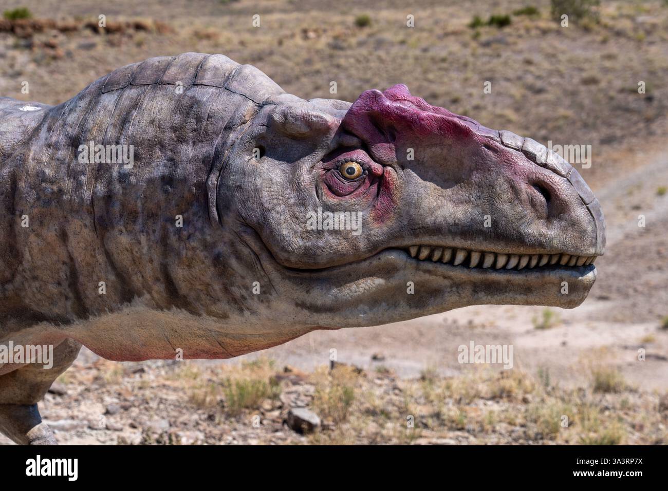 An allosaurus model at the Cleveland-Lloyd Dinosaur Quarry / Jurassic ...