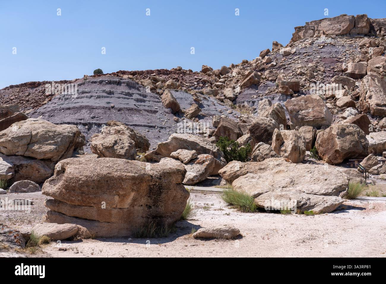 The Morrison Formation at the Cleveland-Lloyd Dinosaur Quarry ...