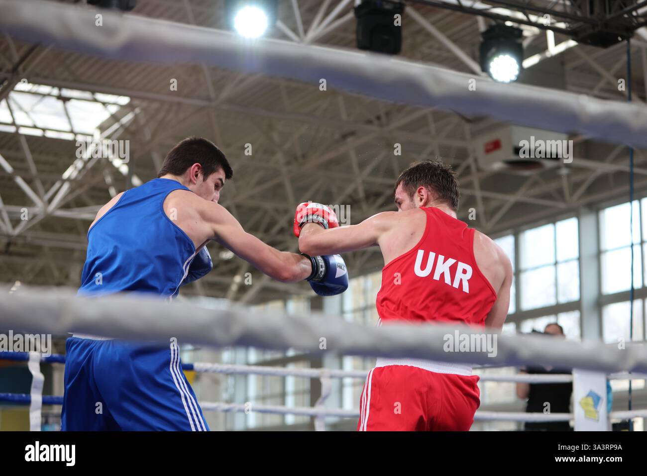 ODESSA, UKRAINE - March 10, 2025: Ukrainian Boxing Cup. Final fight ...