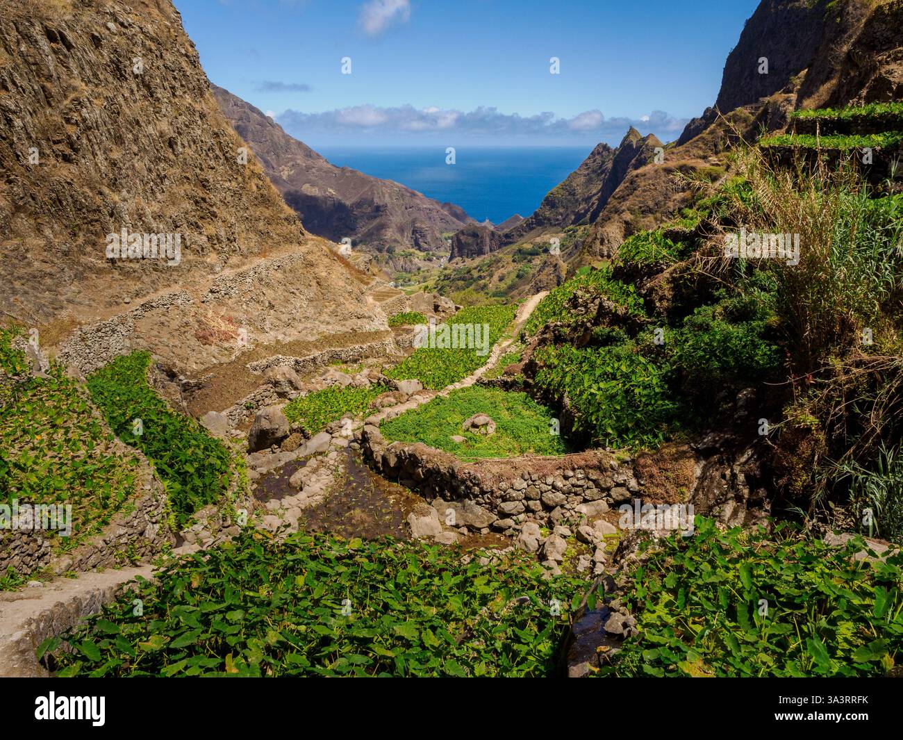 Farmland and beauty in the mountains in Paul Valley, Santo Antao, Cape ...