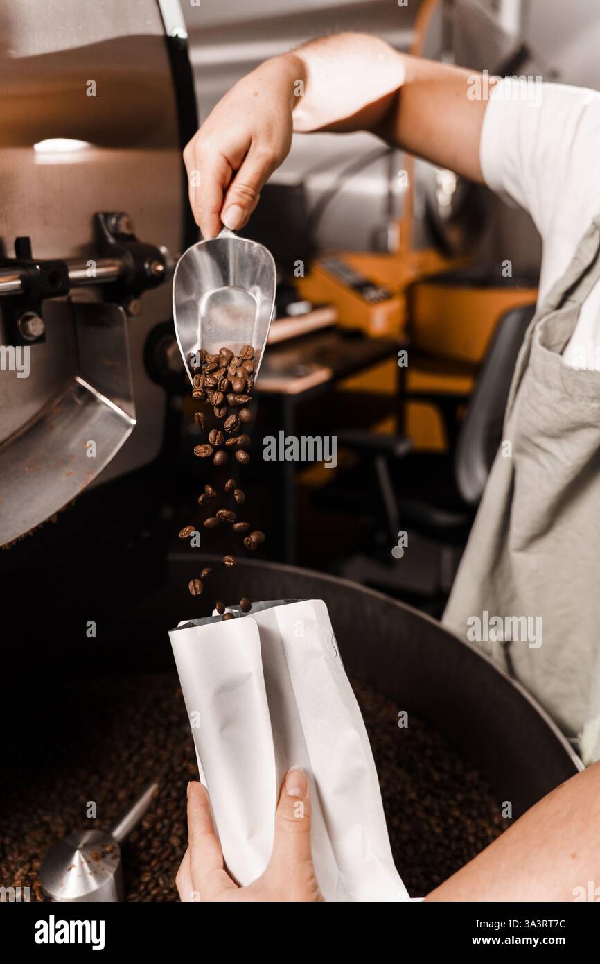 Packing roasted coffee beans into a craft bag. Pouring fried coffee ...
