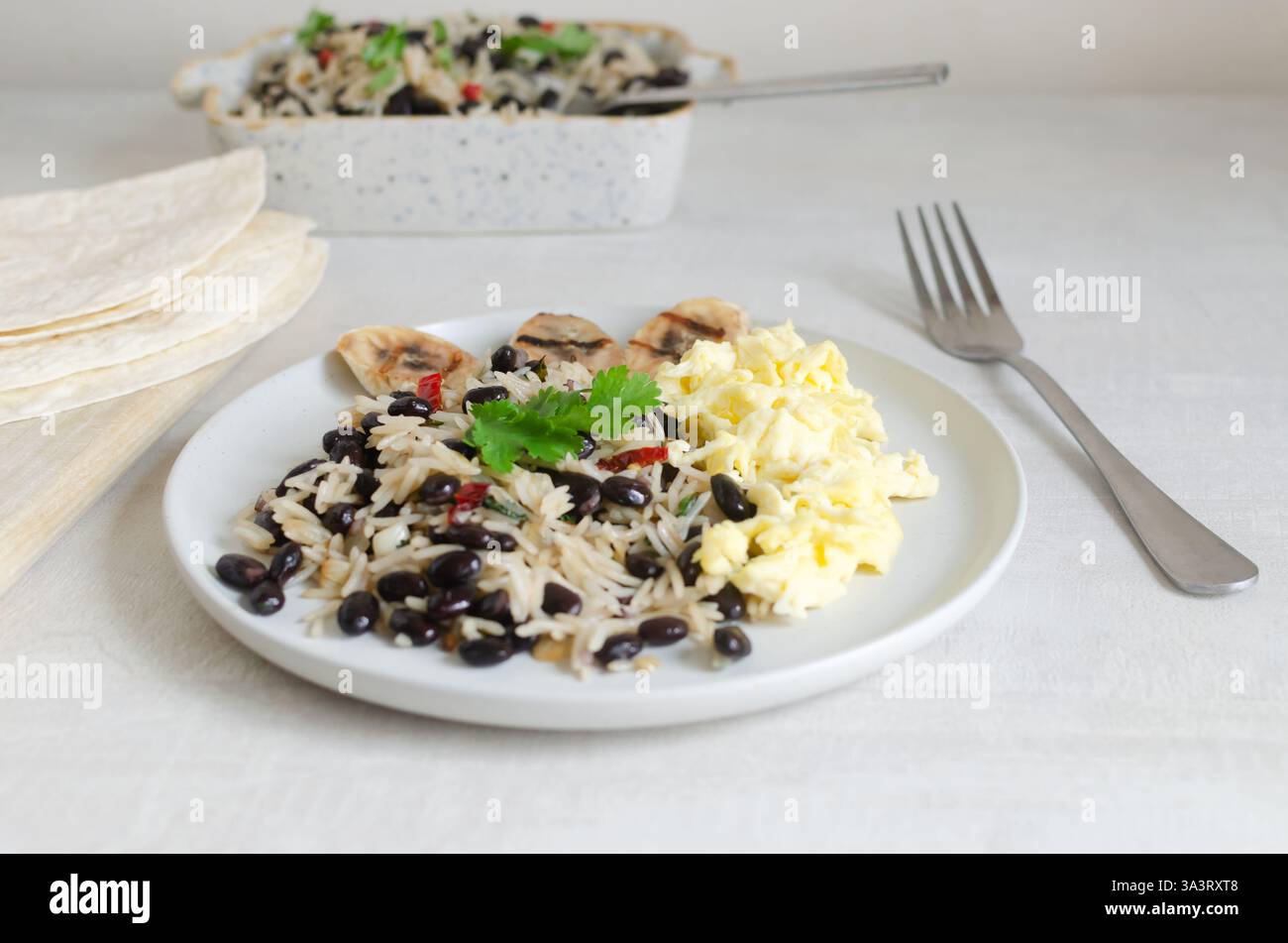 Costa Rican dish - Gallopinto. Black beans and rice with onions, garlic ...
