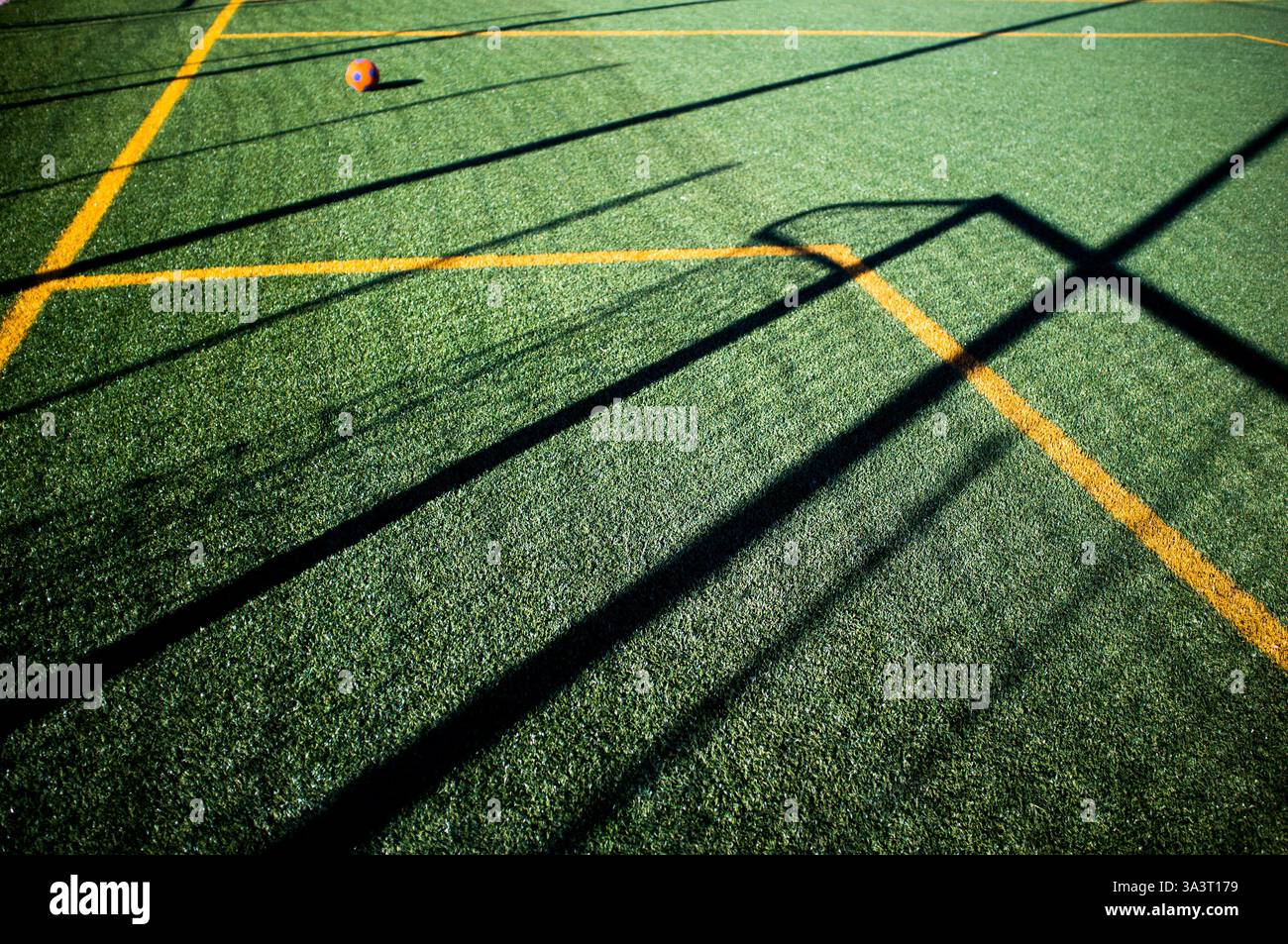 Soccer ball resting on a green outdoor field with sunlight creating ...