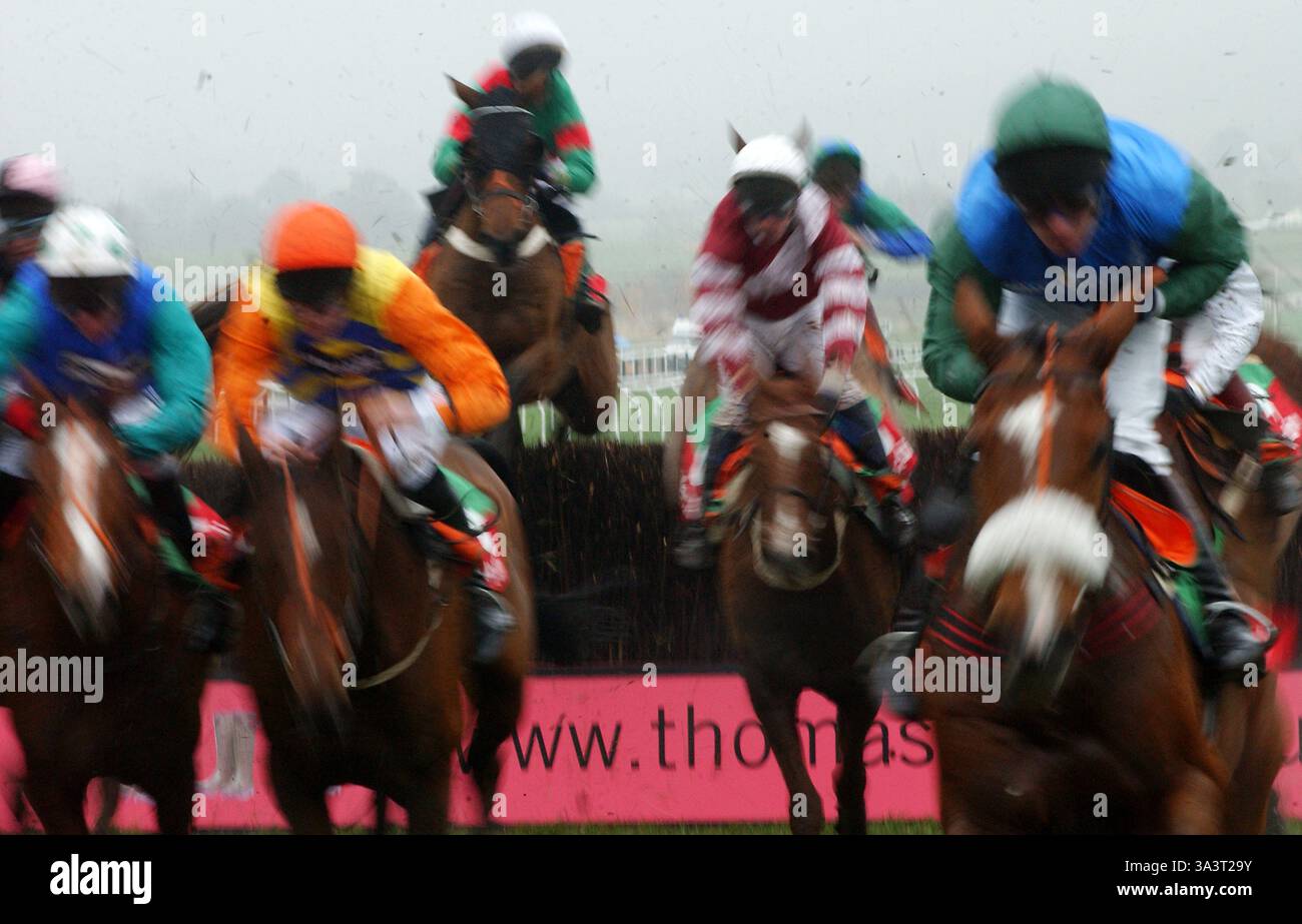 Bookies stand cheltenham gold cup day cheltenham racecourse hi-res ...