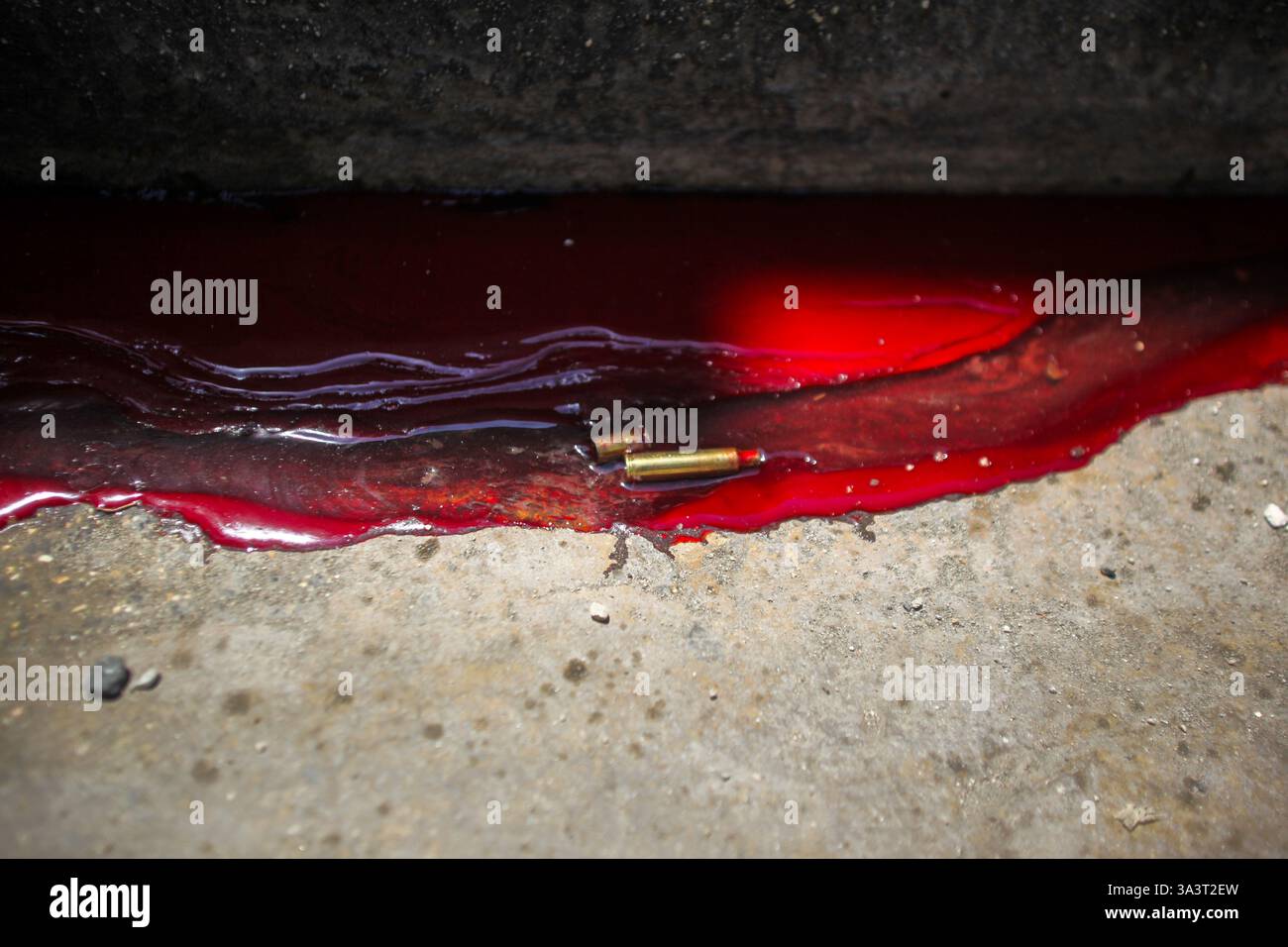 Port-au-Prince, Port-au-Prince, Haiti. 17th Mar, 2025. Funeral of two ...