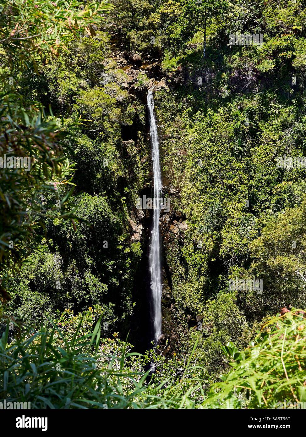 Lush green jungle waterfall flowing hi-res stock photography and images ...