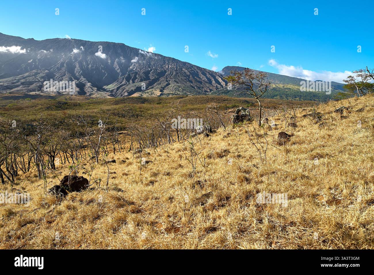 Plains to peaks hi-res stock photography and images - Alamy