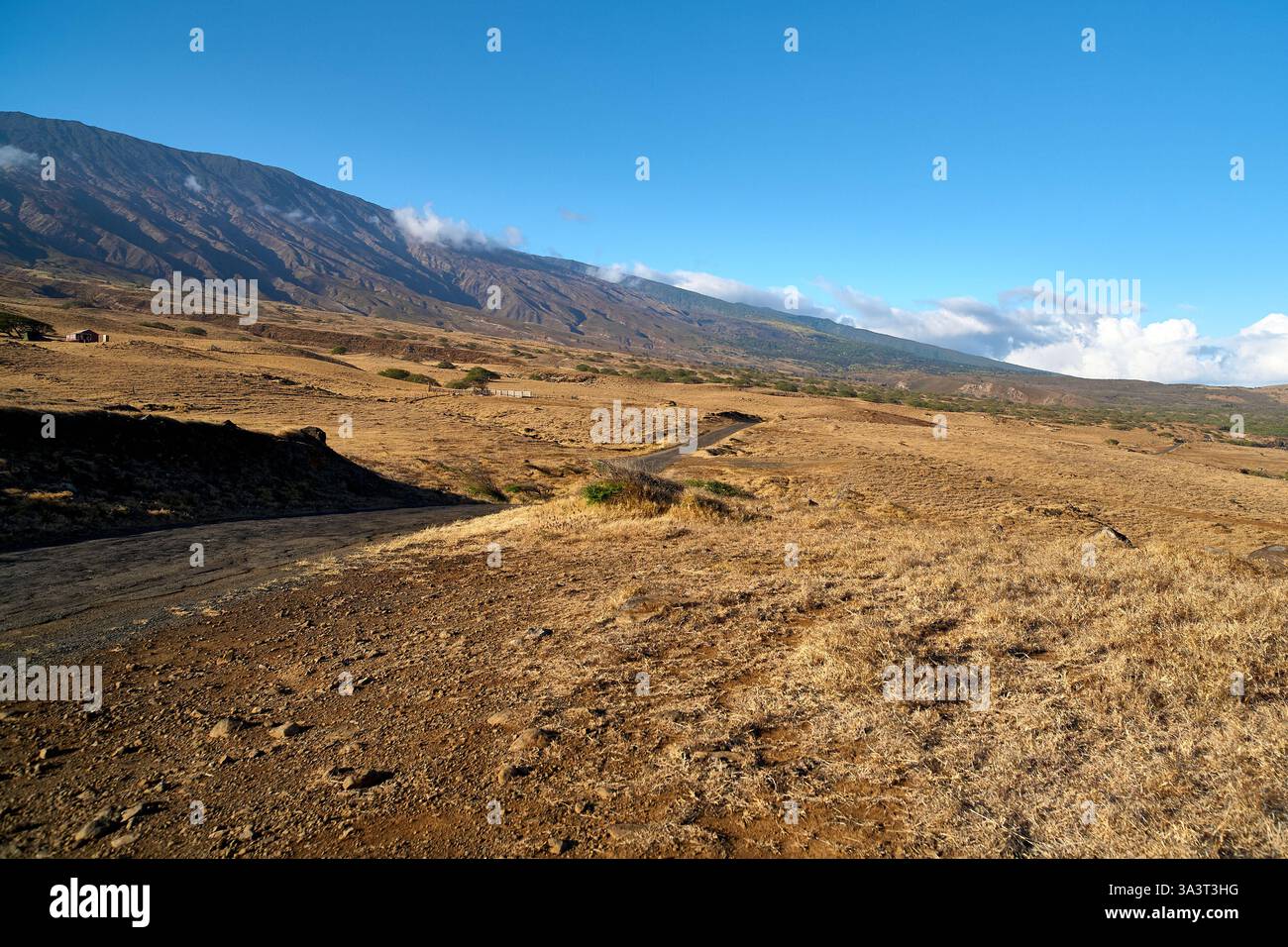 grassy plains in upcountry Hawaii Stock Photo - Alamy
