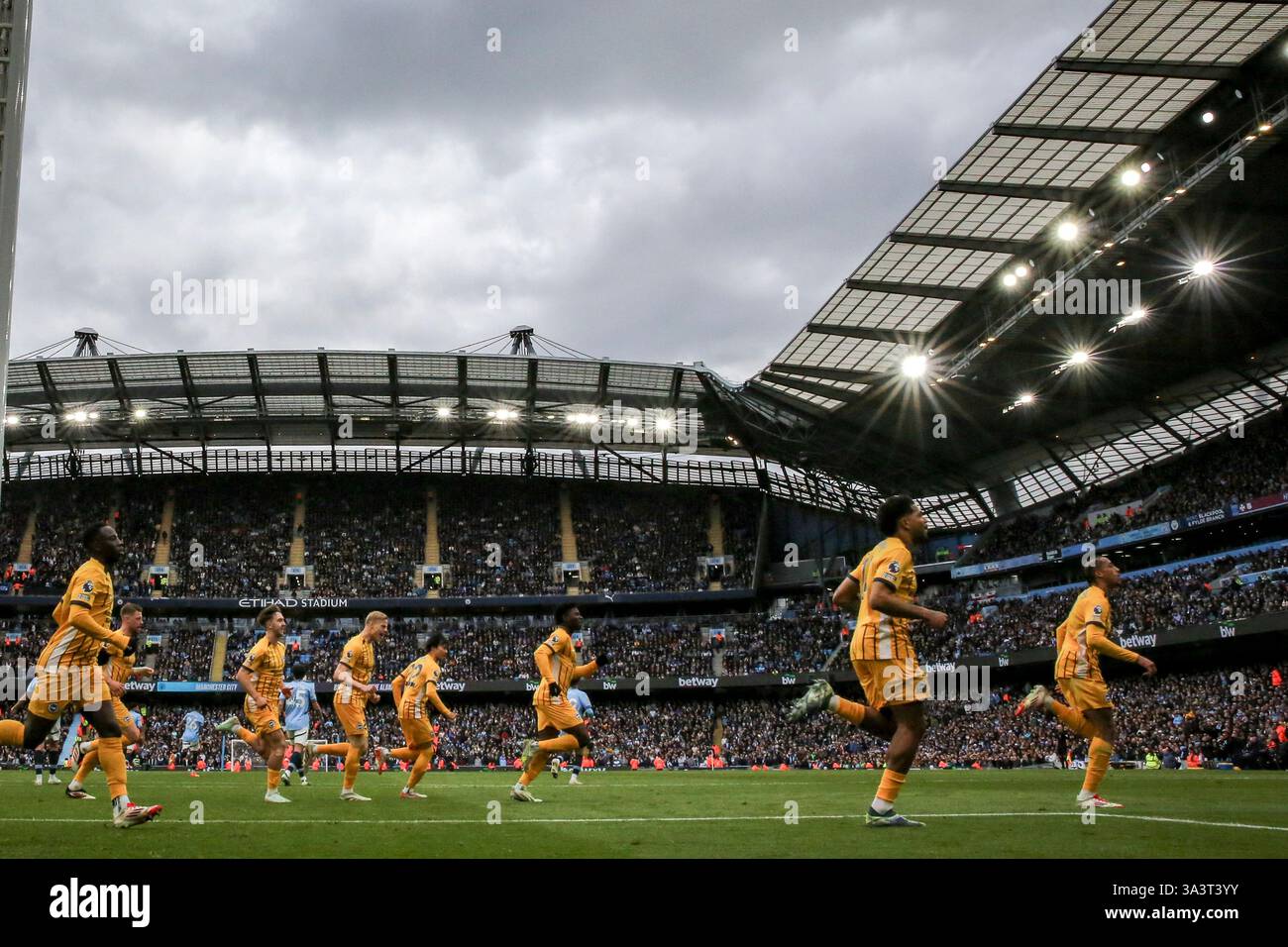 Brighton players celebrate Brighton & Hove Albion defender Pervis ...