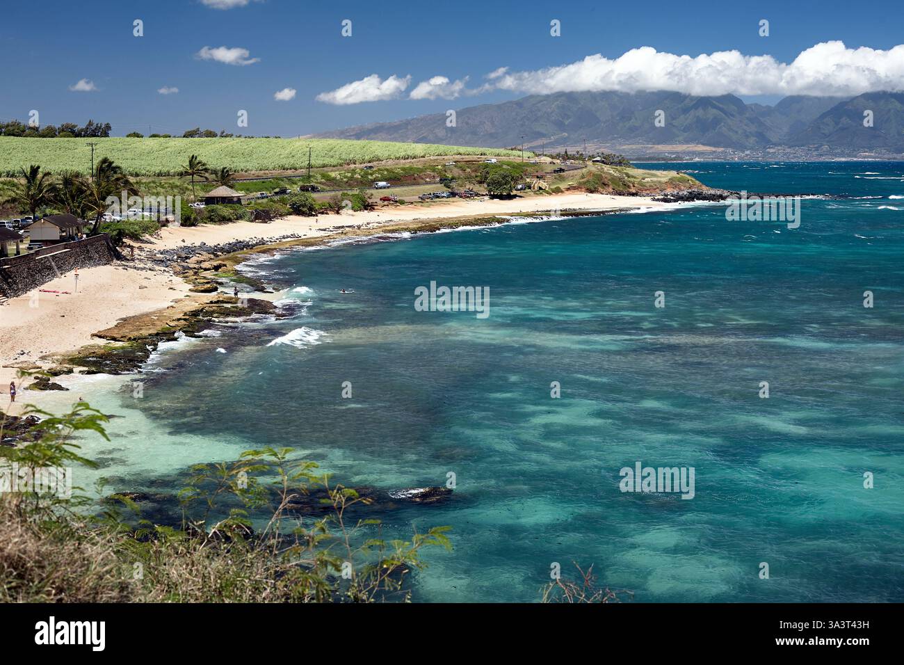 Surfers Ho’okipa Beach Park Maui Hawaii Stock Photo - Alamy