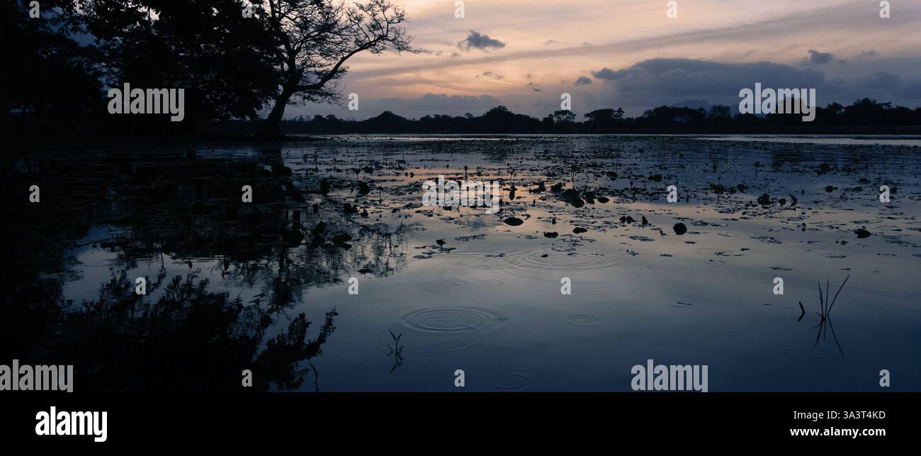 Habarana lake hi-res stock photography and images - Alamy