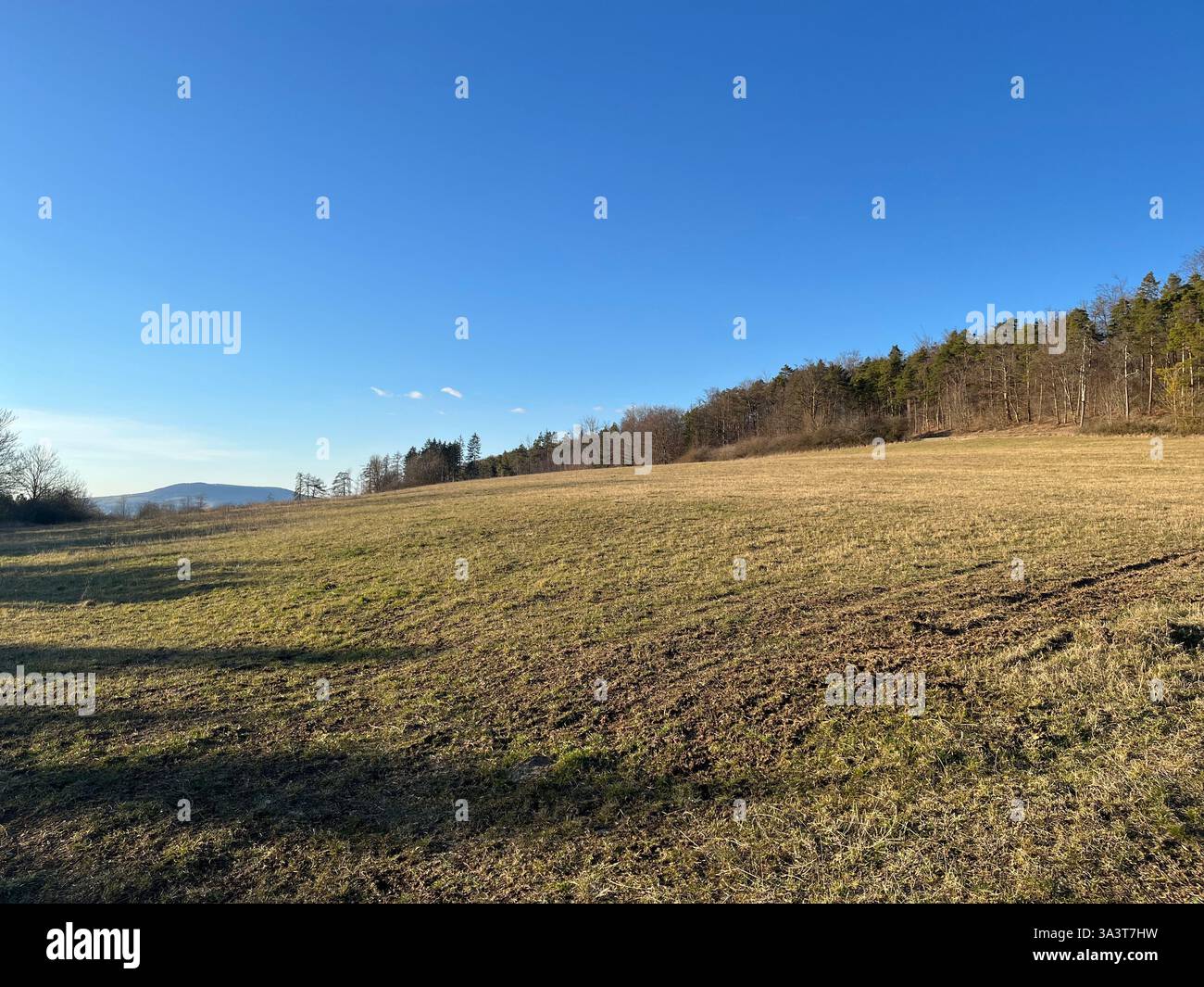 Fields spring blue sky hi-res stock photography and images - Alamy