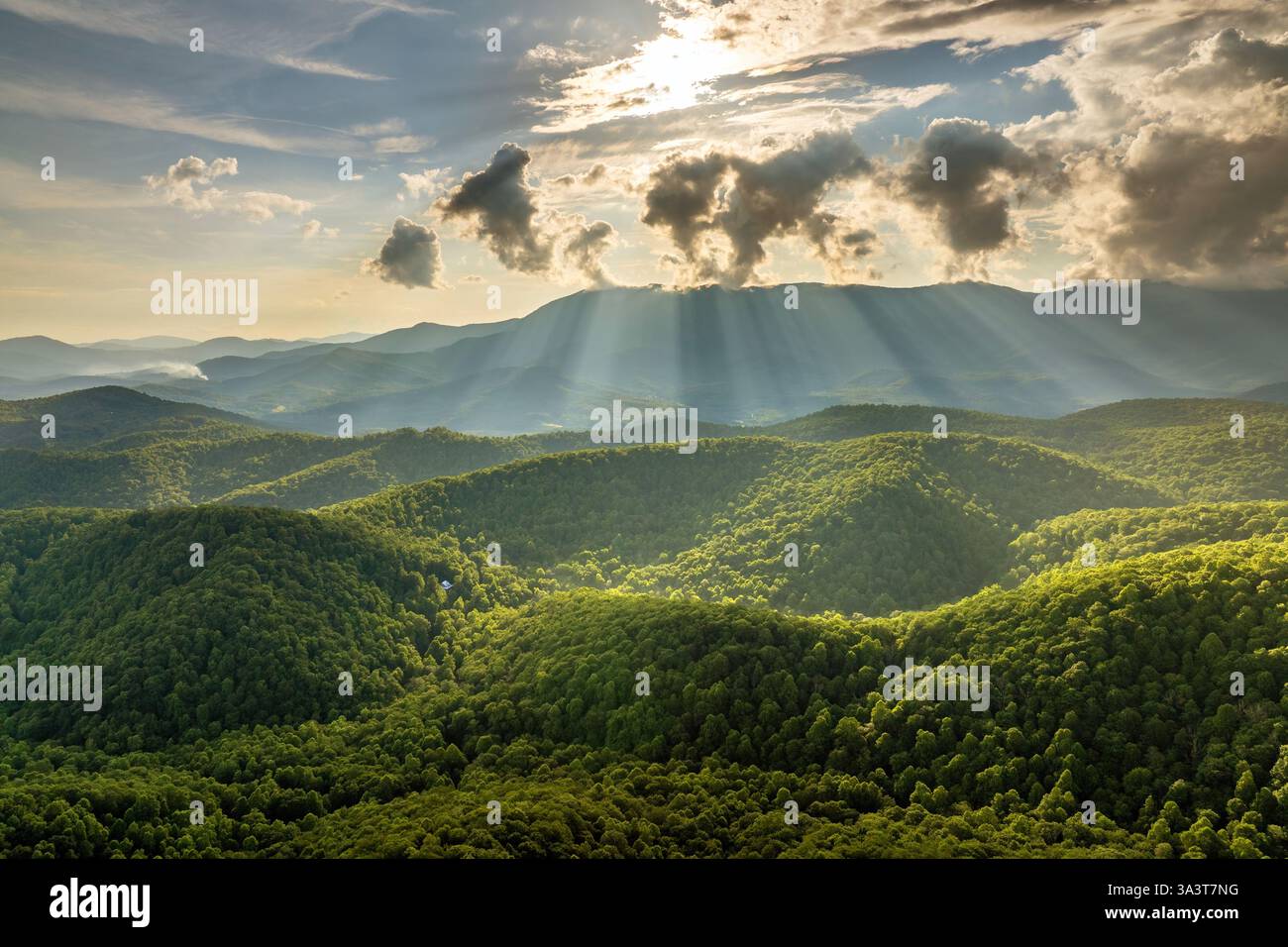 Mountain forest with green canopies in Mt Mitchell State Park. Sunset ...