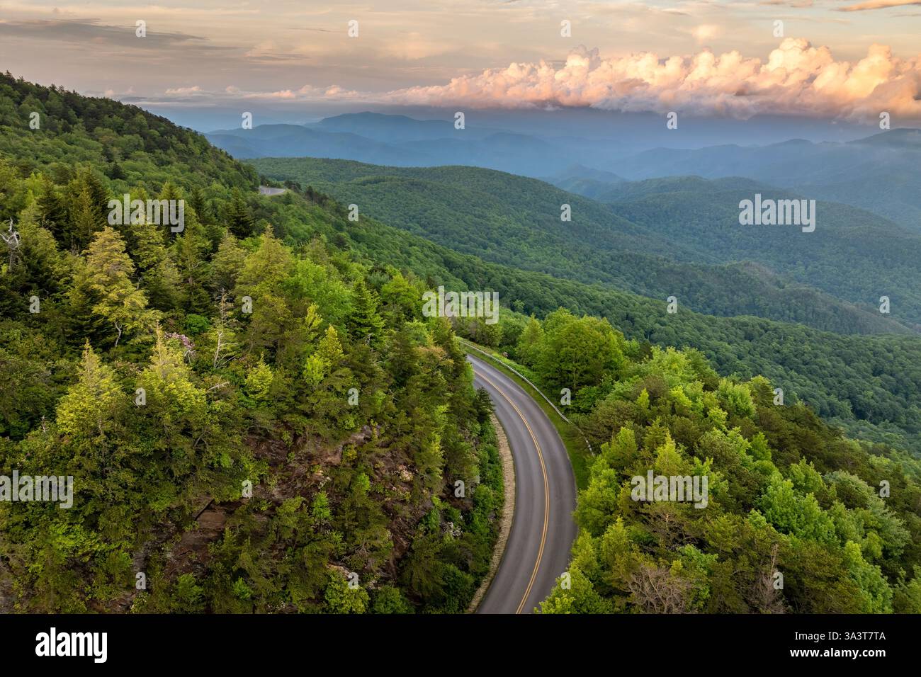 Winding parkway road in mountain forest with green canopies in ...