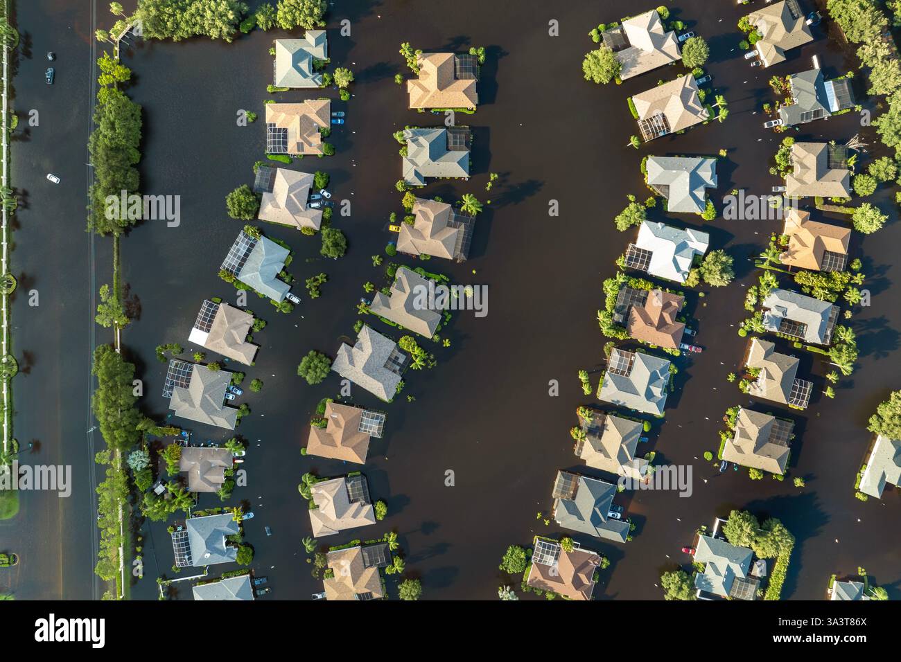 Hurricane Debby tropical rainstorm flooded residential homes in ...