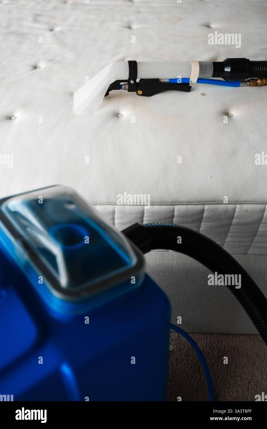 Cleaning equipment to dry cleaning gray sofa at home. Using extractor ...