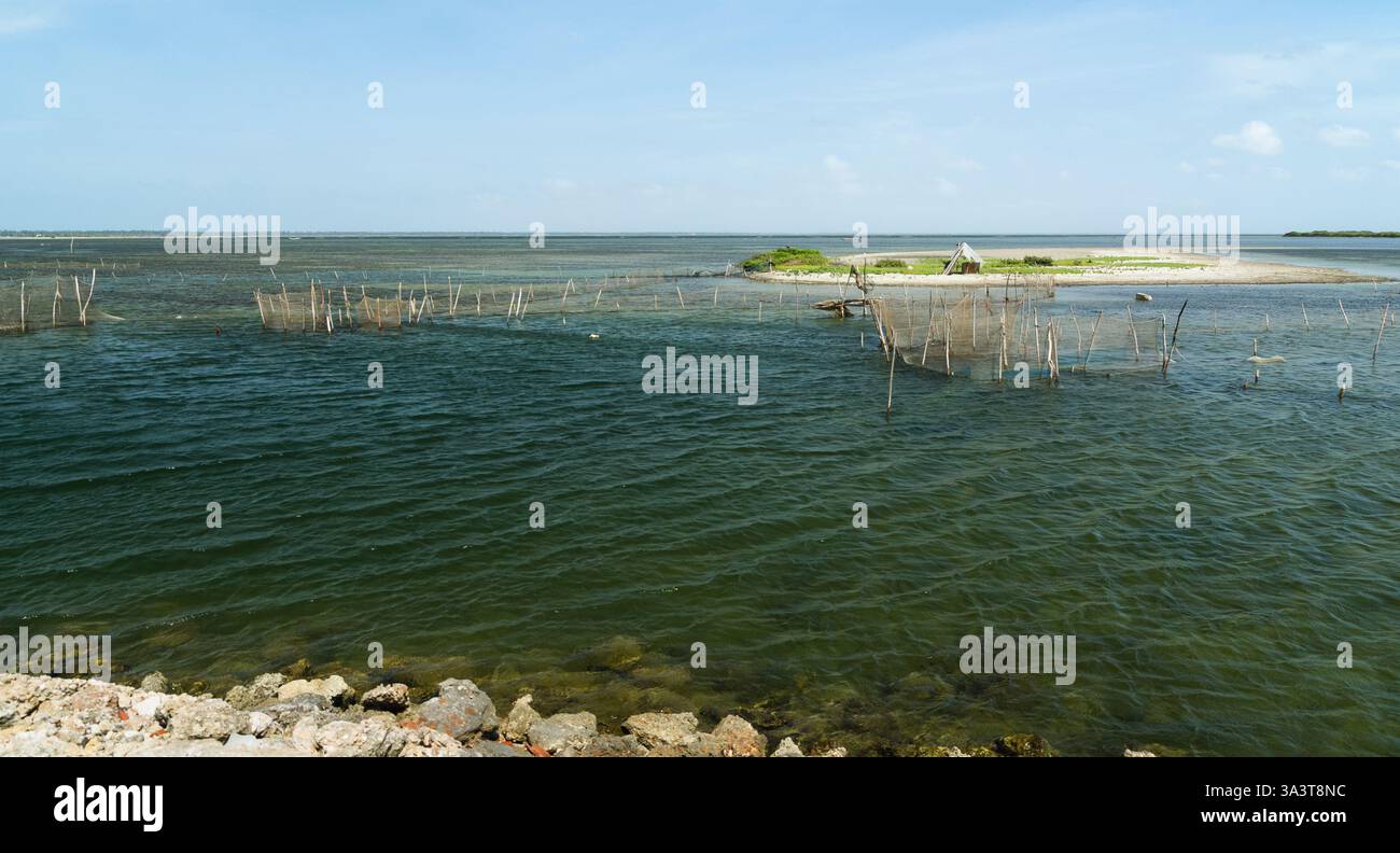 Catching seafood with traps hi-res stock photography and images - Alamy
