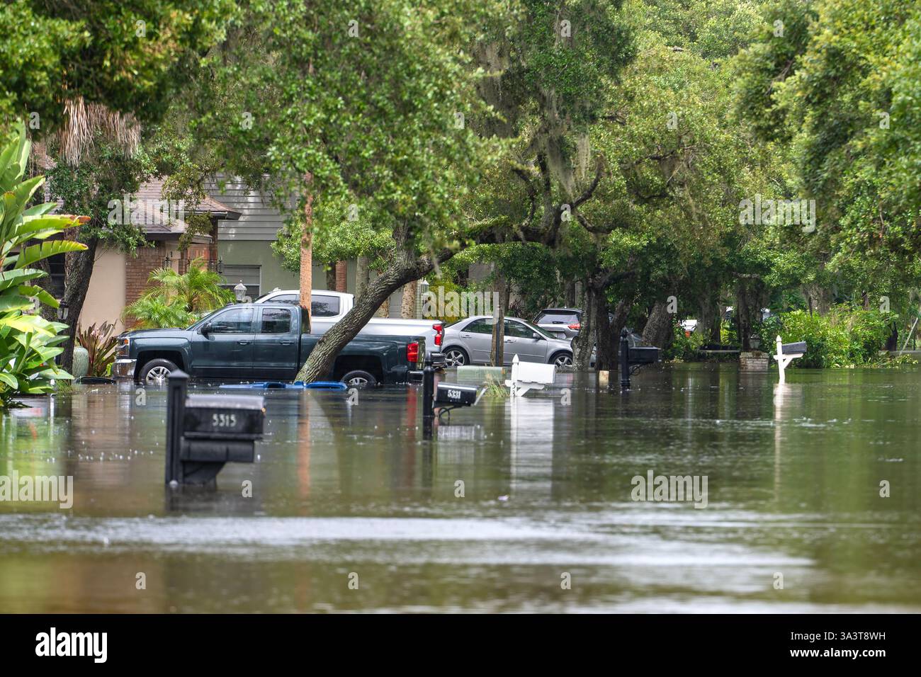 Flooded street with stuck cars after hurricane rainfall in Florida ...
