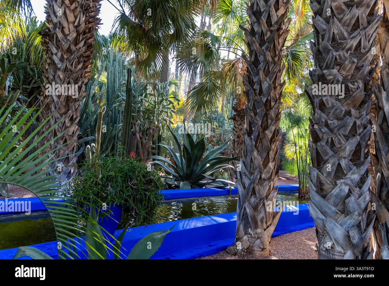 The Majorelle Garden is a botanical garden and artist's landscape ...