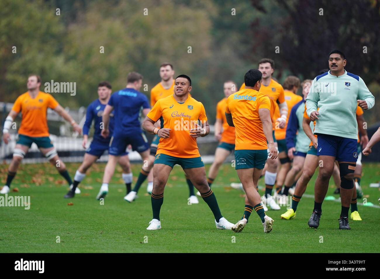 Australia's Allan Alaalatoa during a team run at The Lensbury Resort ...