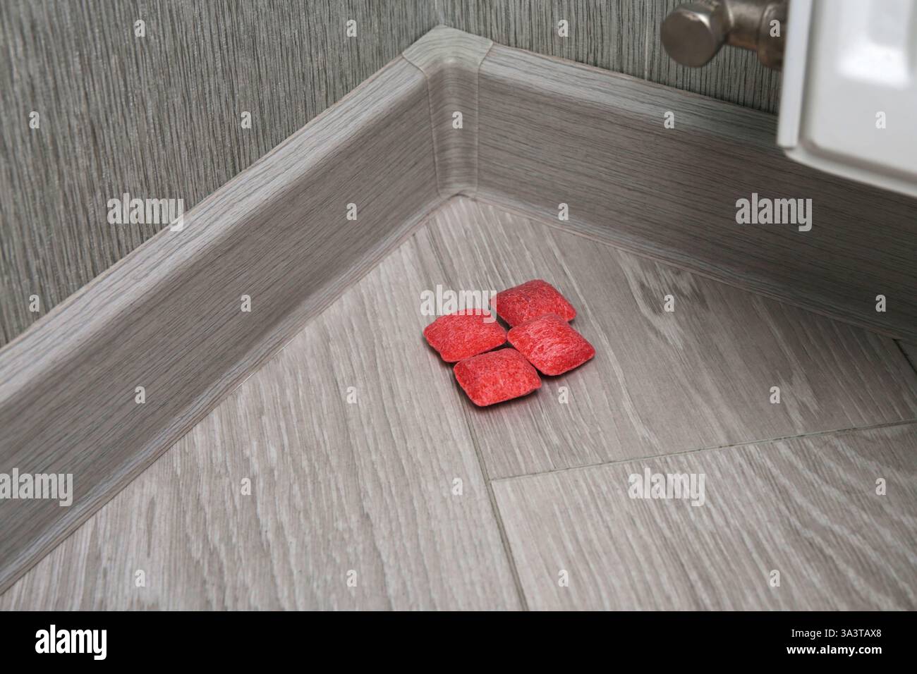 Rat poison on floor indoors. Pest control Stock Photo - Alamy