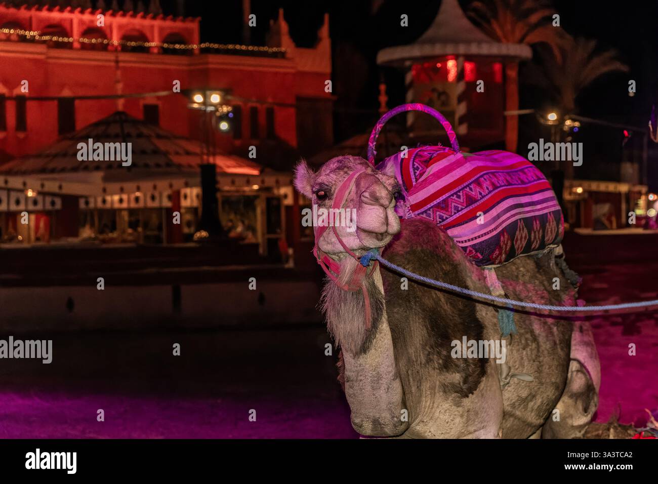 Marrakesh, Morocco. A captivating Fantasy Show at Chez Ali, featuring ...