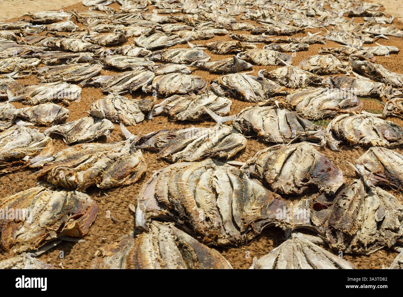 Sri lankan dried fish hi-res stock photography and images - Alamy