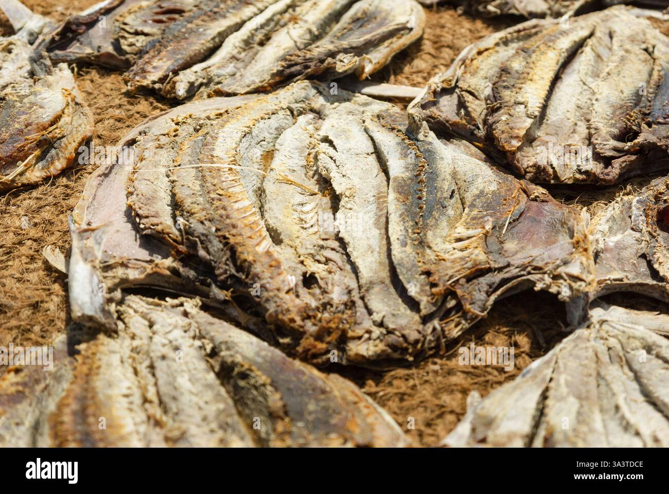 Sri lankan dried fish hi-res stock photography and images - Alamy