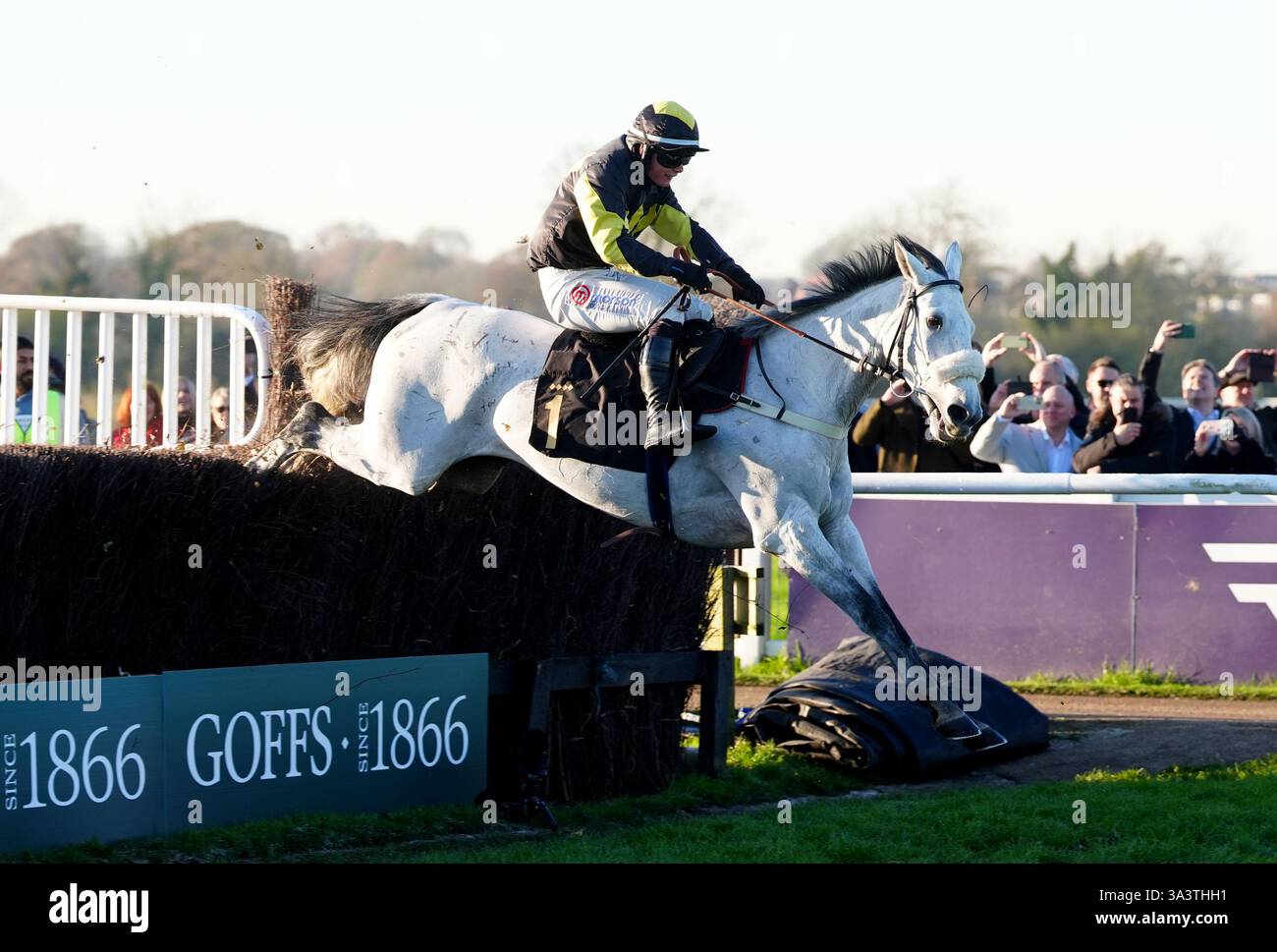 Eldorado Allen ridden by Freddie Gingell during the John Sumner ...