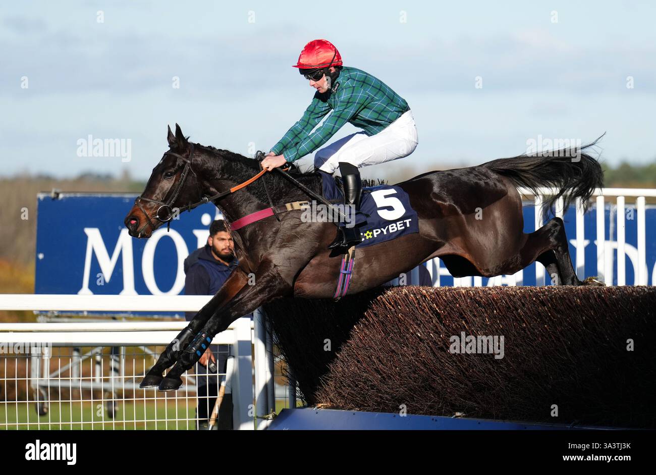 Bucksy Des Epeires ridden by Charlie Deutsch coming home to win the ...