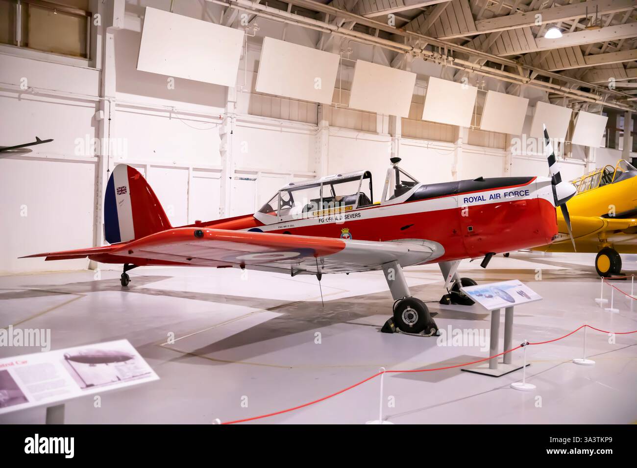 Dh chipmunk hi-res stock photography and images - Alamy